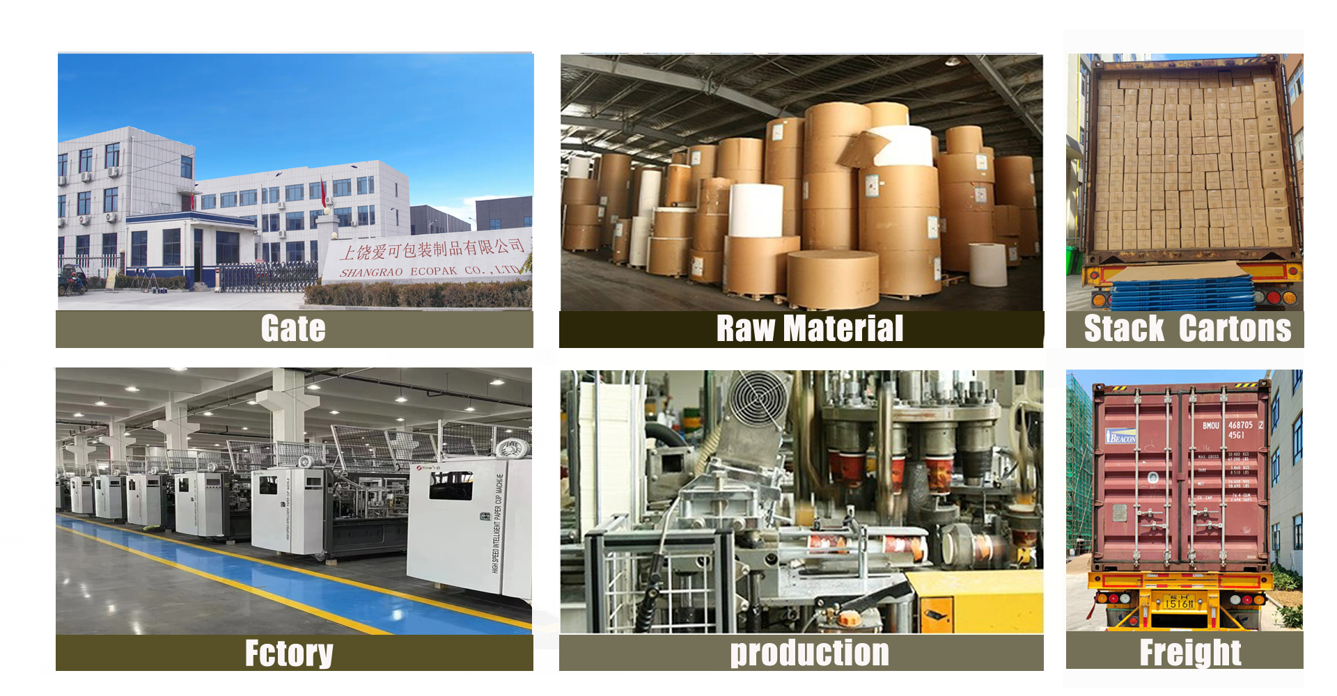 Ecopak Products: Paper cup and Paper Bowl