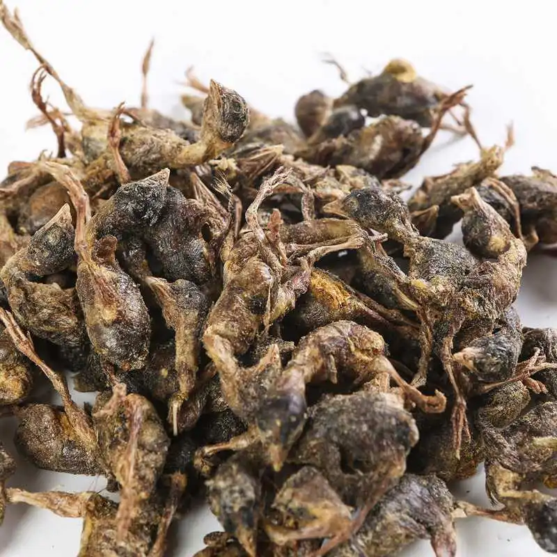 Freeze-dried quail-Nuodepet