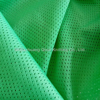 Dacron Cloth, Wholesale Polyester Garment Mesh Fabric