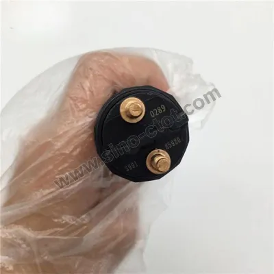 Bosch Diesel Fuel Injector 0445120289