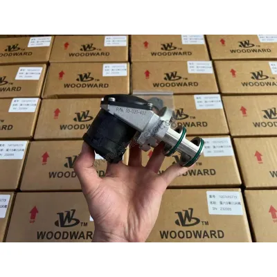 Weichai 1007695773 EGR vavle