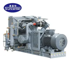High Pressure Gas Compressor