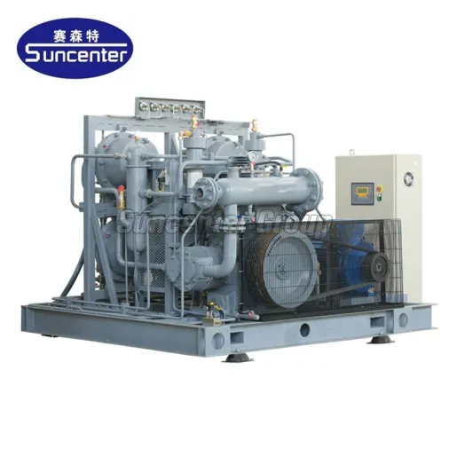 High Pressure Gas Compressor