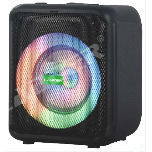 portable speaker wired