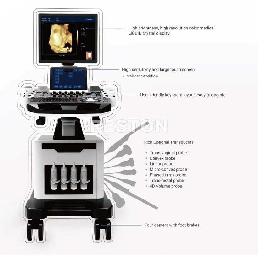 Doppler Ultrasonic Diagnostic