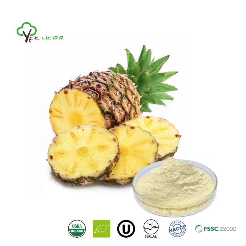 Pineapple Powder for Juice, Bulk Pineapple Powder Low Price Wholesale