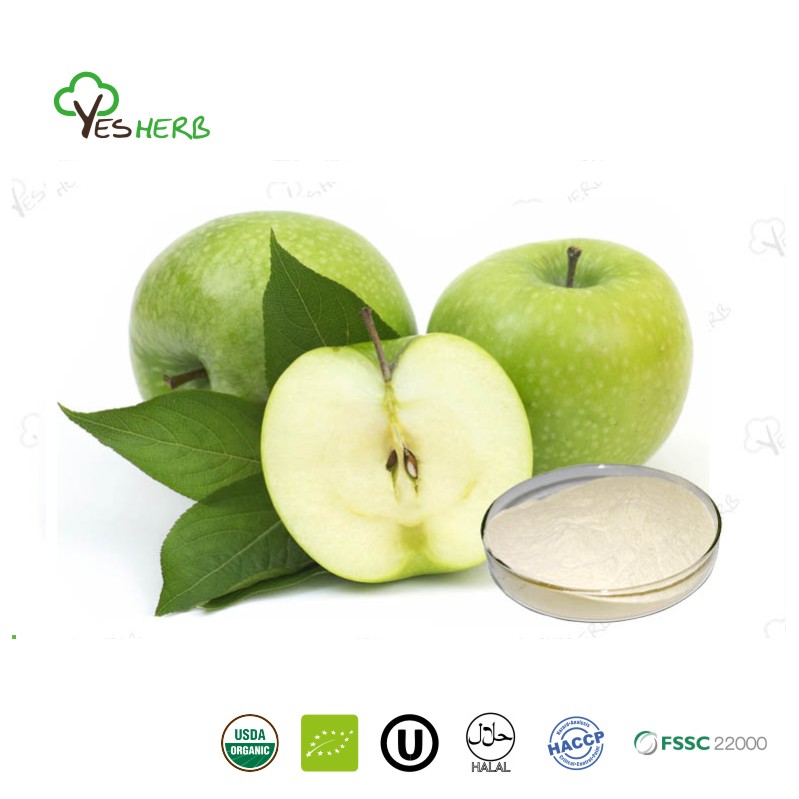 Apple Powder Wholesale bulk, Wholesale Factory Price Apple Powder