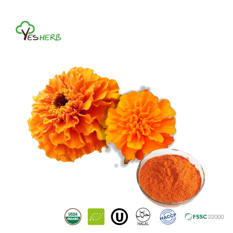 Marigold Extract