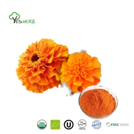 Herbal Extracts Wholesale