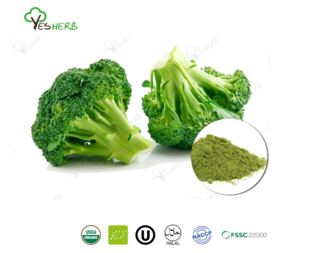 Is Vegetable Power Really Necessary and Why?