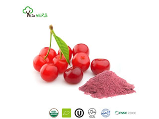 How Do You Use Cranberry Powder