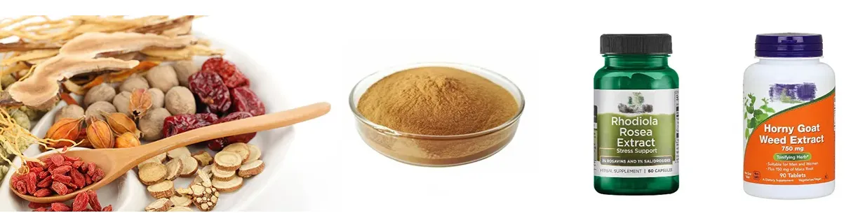 Exploring the Uses and Benefits of Marigold Extract