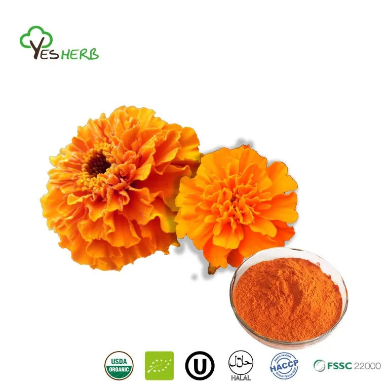 Exploring the Uses and Benefits of Marigold Extract