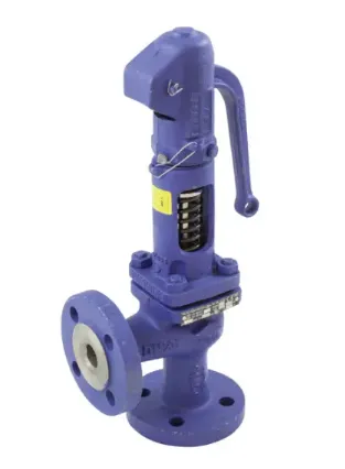 Spring Loaded Relief Valve Details