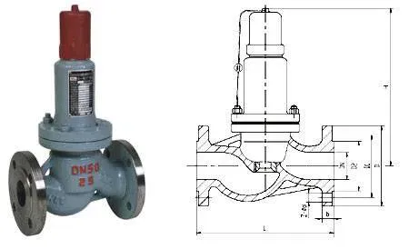 Parallel Safety Backflow Valve