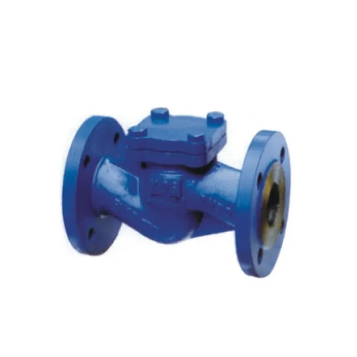 Cast steel DIN lift type check valve