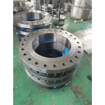 EN1092 PL flange type01 plate flange