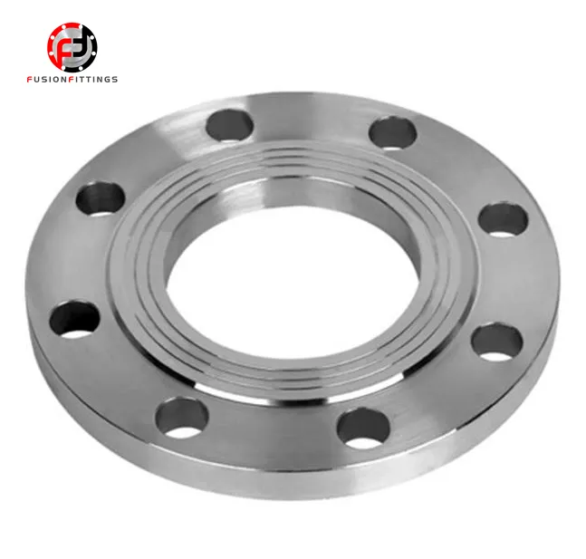 EN1092 PL flange type01 plate flange