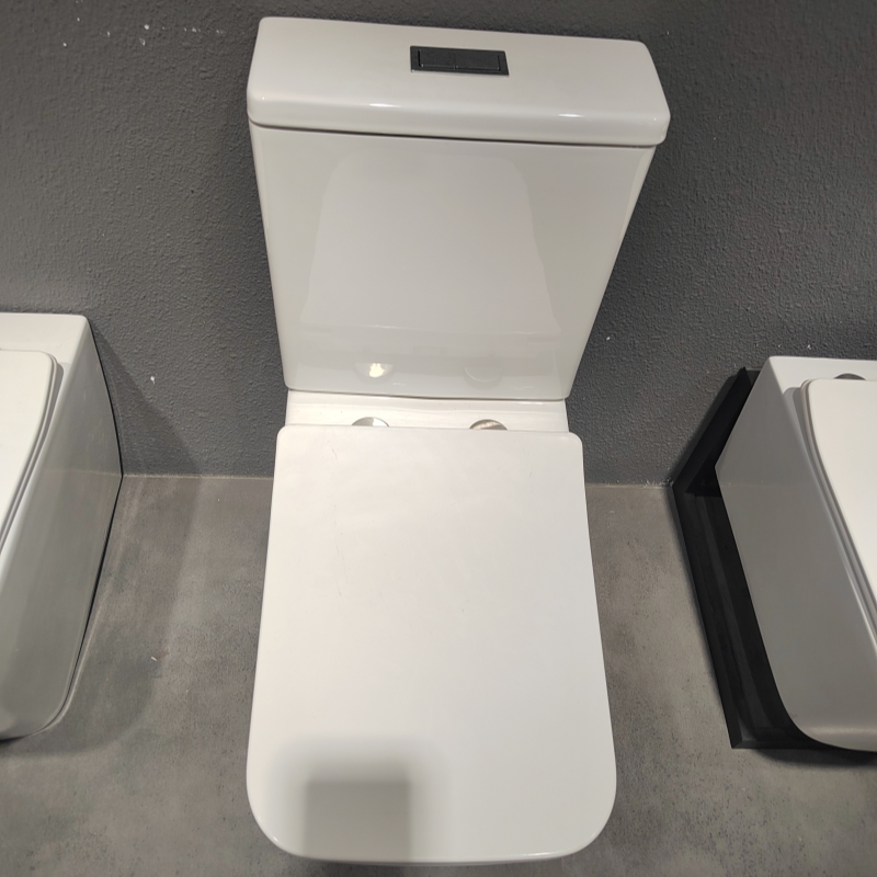 Watermark Dual Flush Two-Piece Toilet
