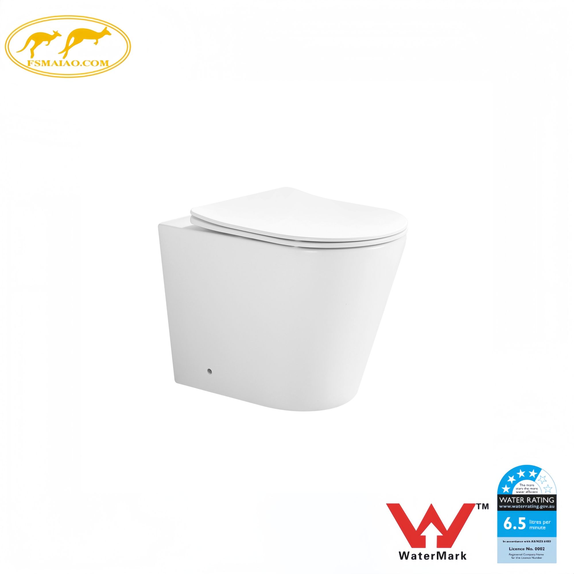 Watermark Dual Flush system Ground to install toilet