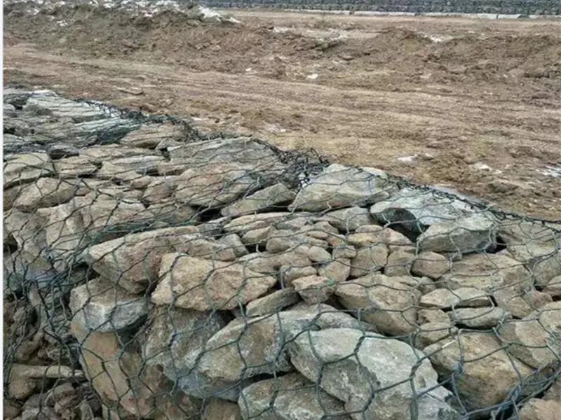Gabion mesh