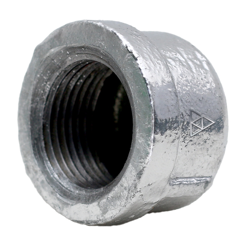 Cap Fig 301