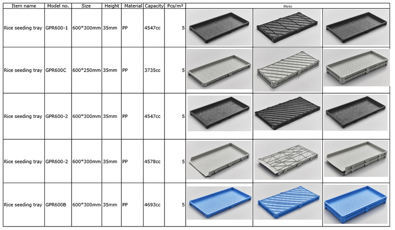 Nampan Bibit Padi Padi