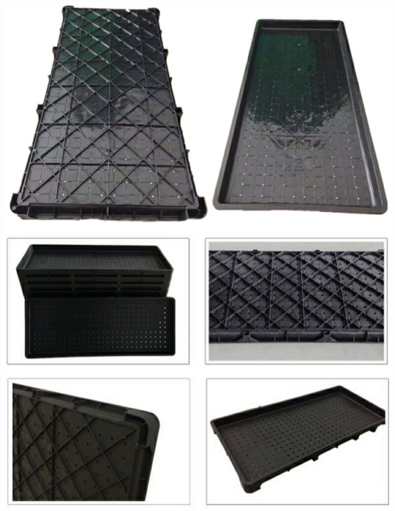 Nampan Bibit Padi Padi