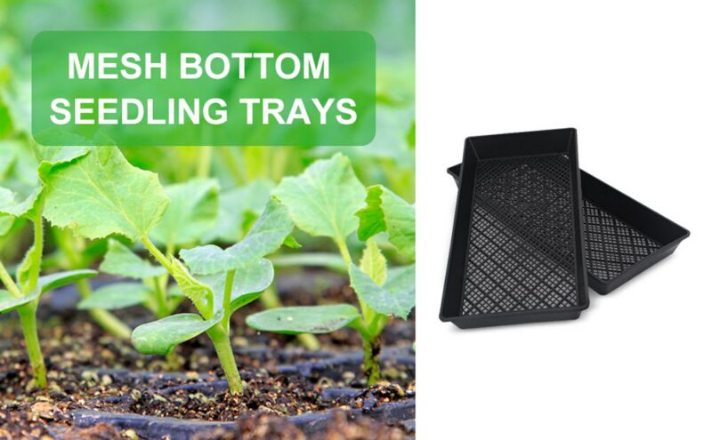 Nursery Seedling Tray