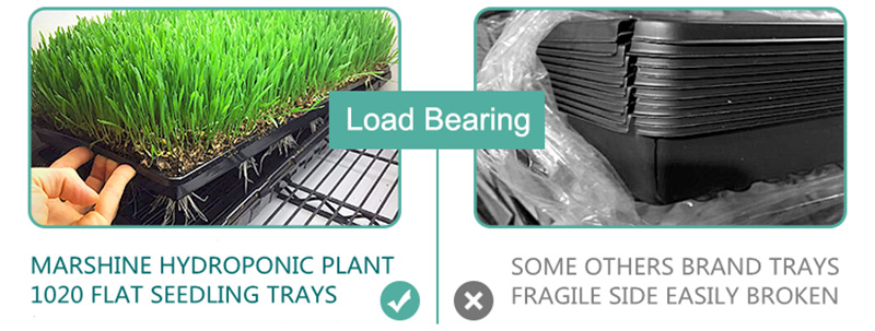 Large planting deep flats tray