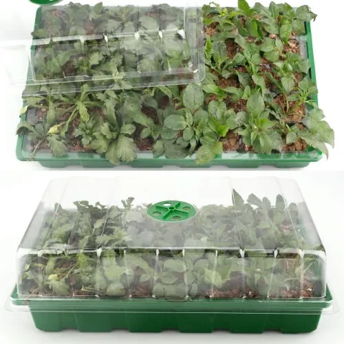 Seedling Grower Starter Kit Instructions