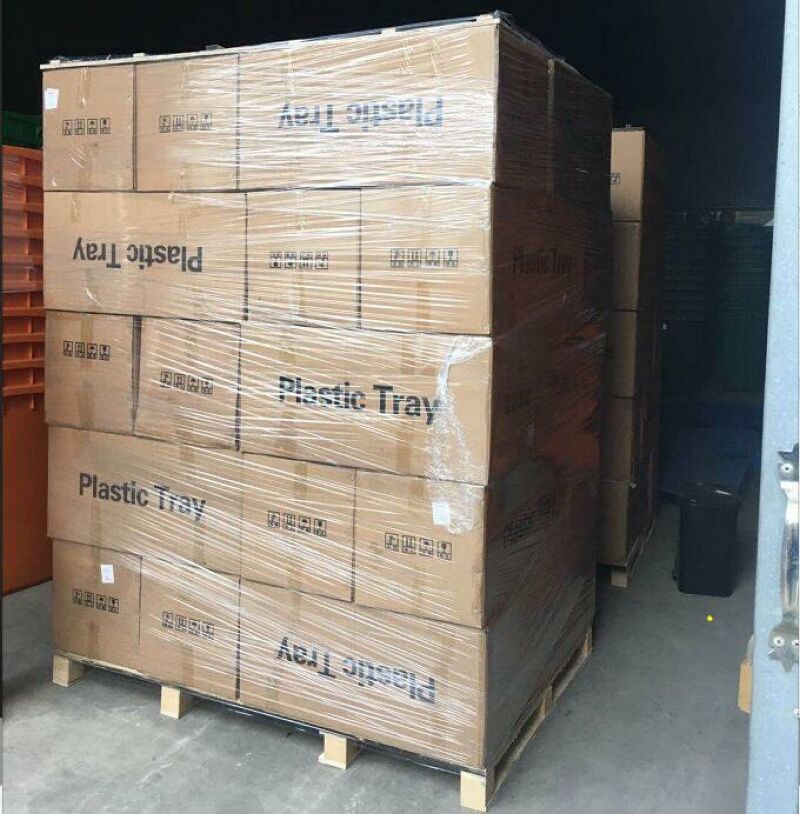 Nampan Bibit Padi Padi