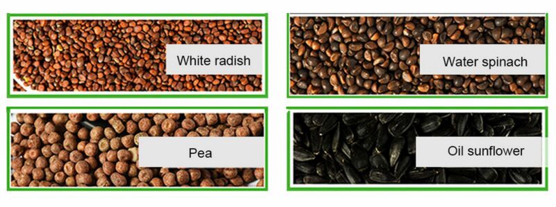 Nampan Bibit Padi Padi