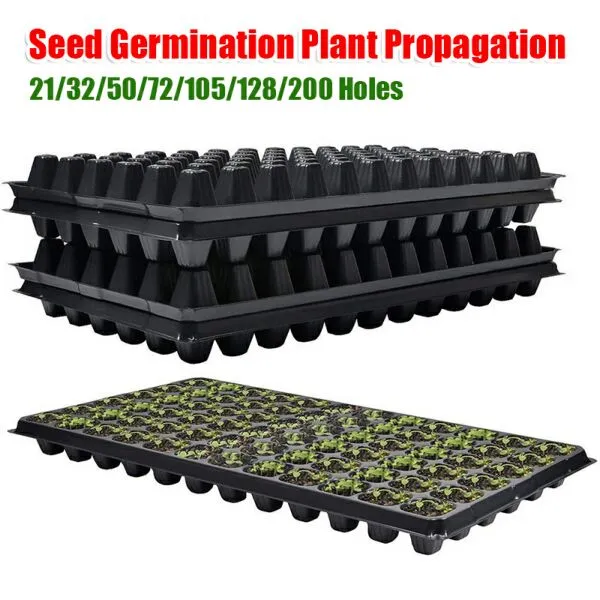 Choosing a seedling tray, and how to sow for reliable germination