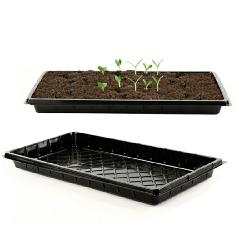 Microgreen Trays | Wholesale Shallow Trays for Microgreens - MARSHINE