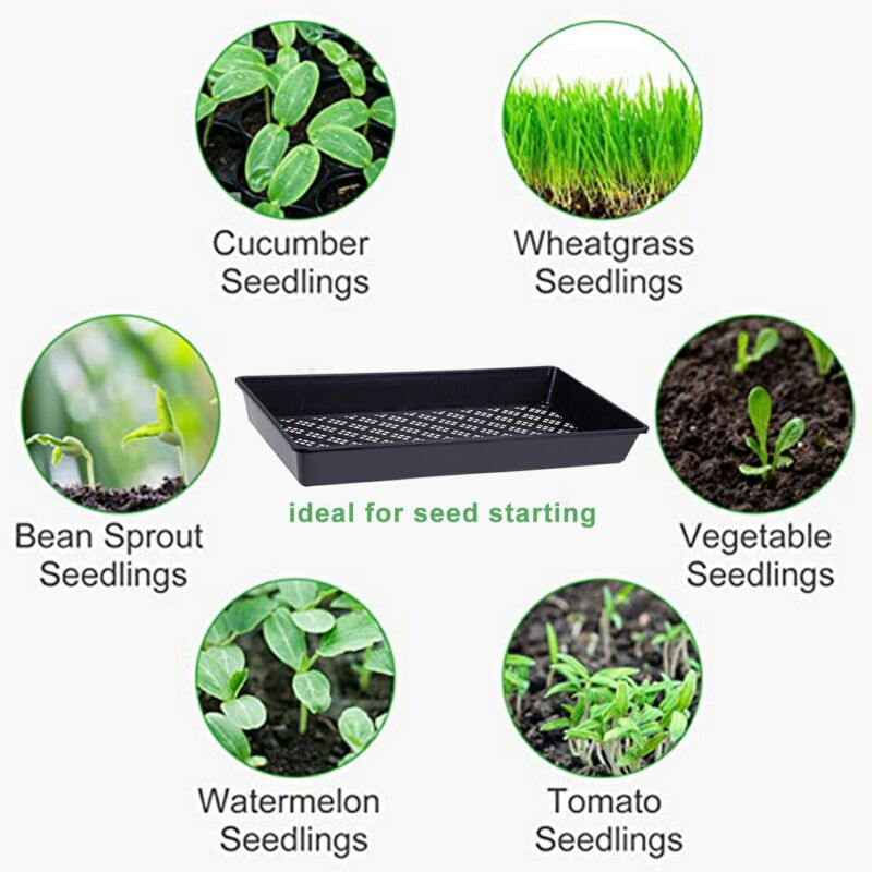 Nursery Seedling Tray