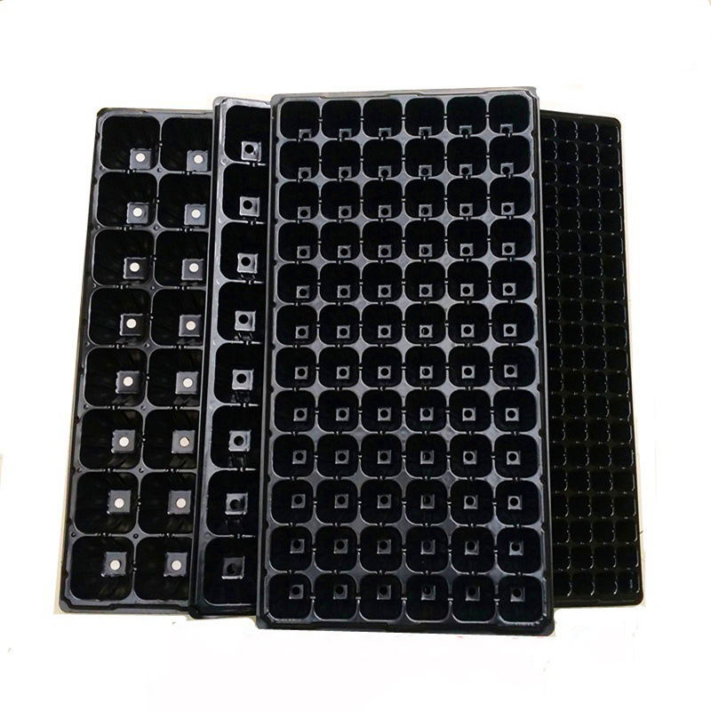 72 Cell Propagation Tray