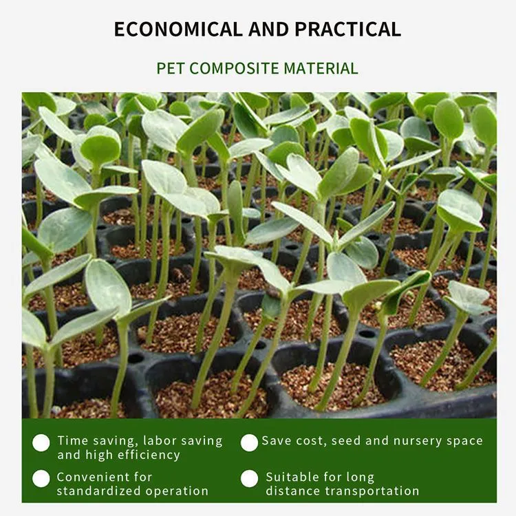 72 Cell Propagation Tray