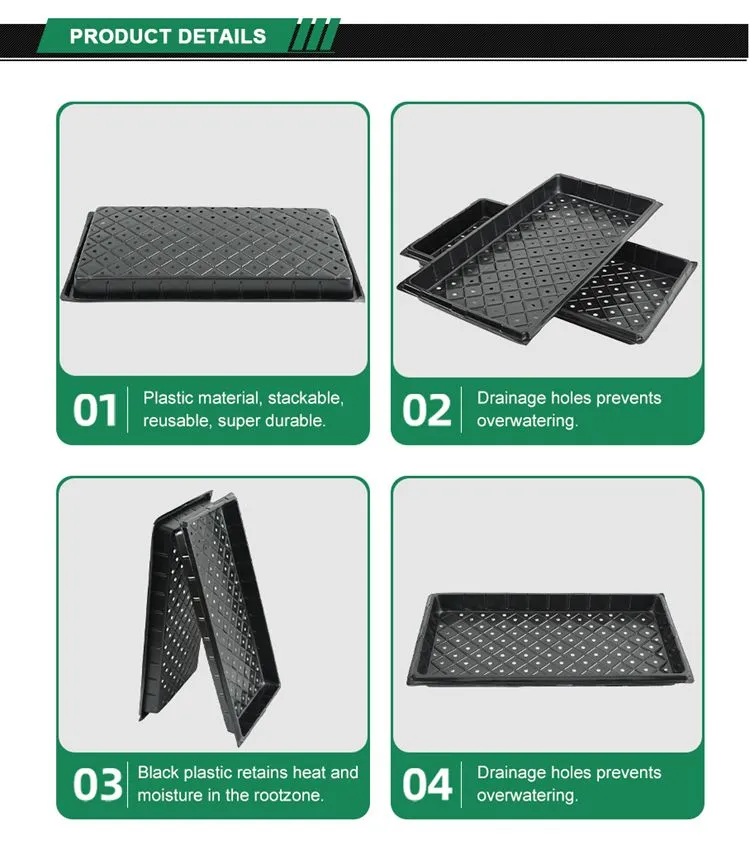 Seedling Flats Trays