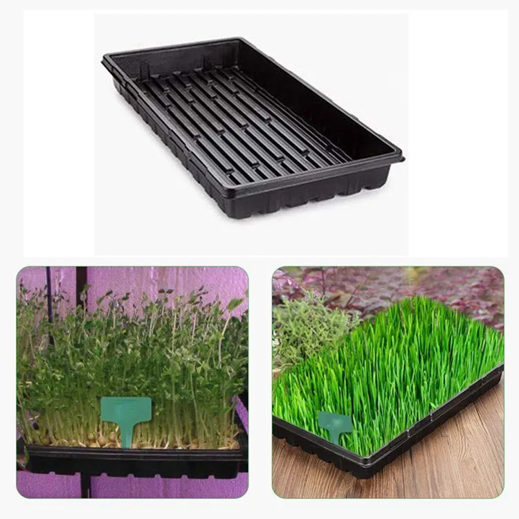 Large planting deep flats tray