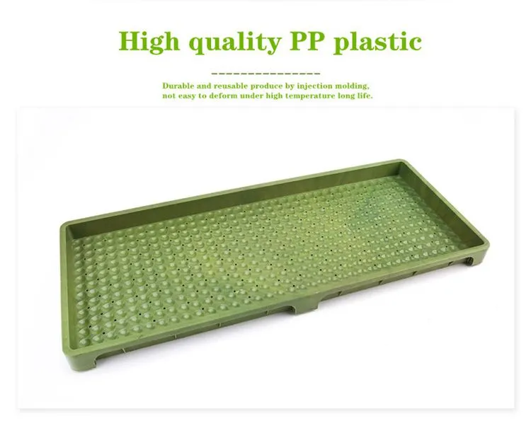 Paddy Rice Seedling Trays