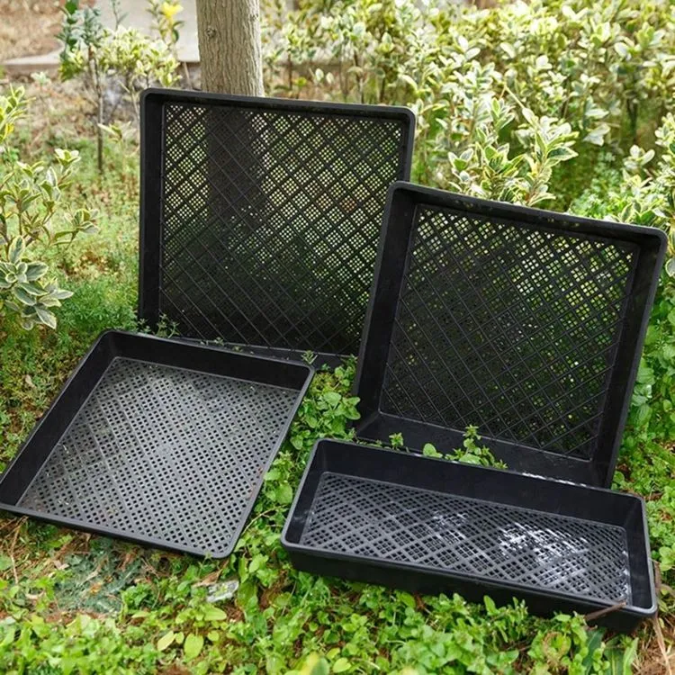 Greenhouse Square Flat Trays