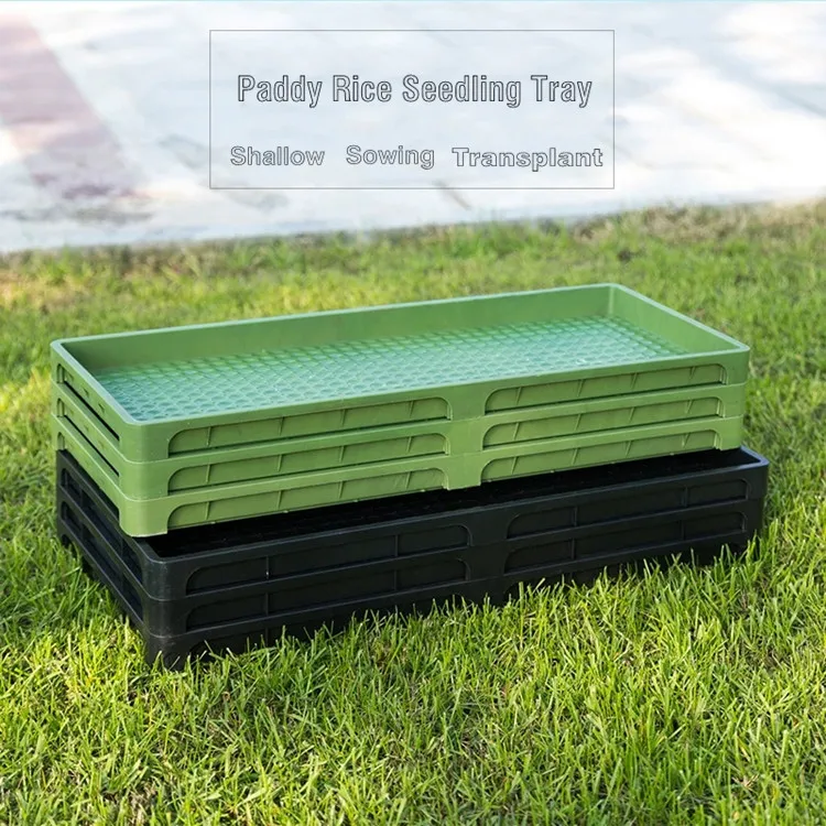 Paddy Rice Seedling Trays