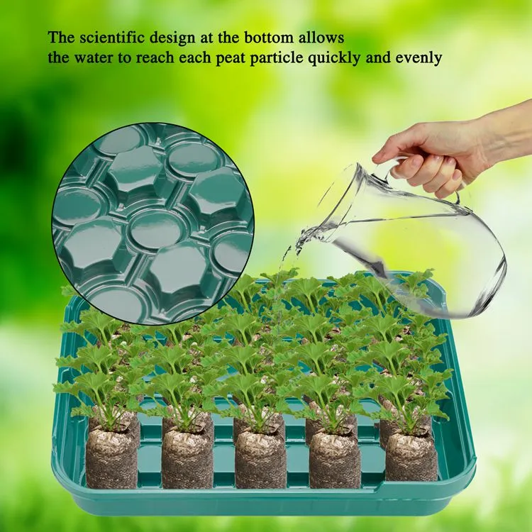Seed Germination Kit