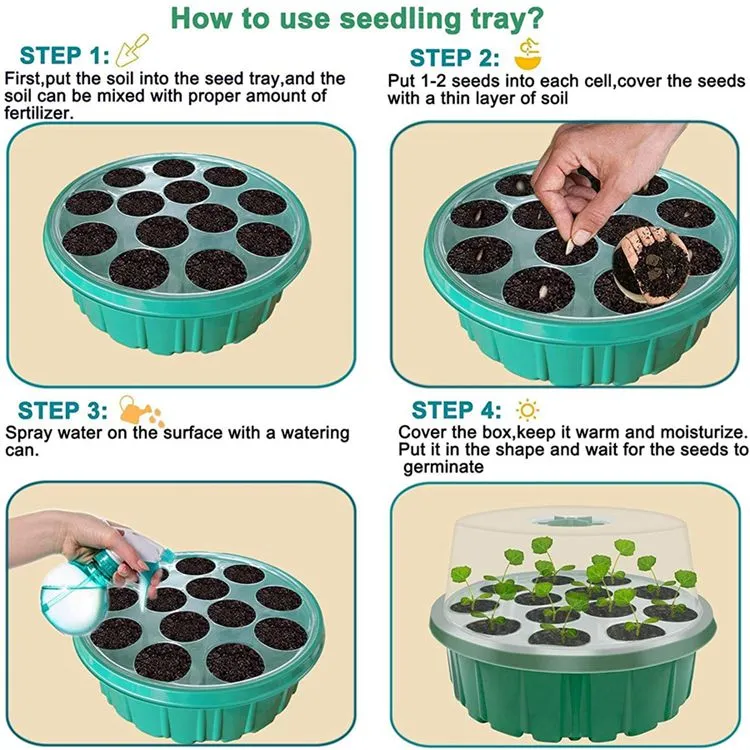 Seed Propagator Kit