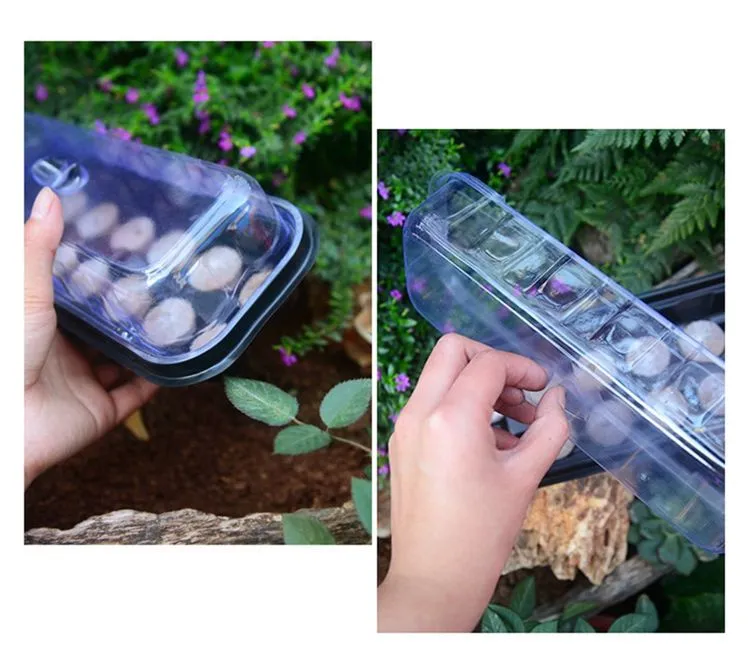 Seed Germination Kit
