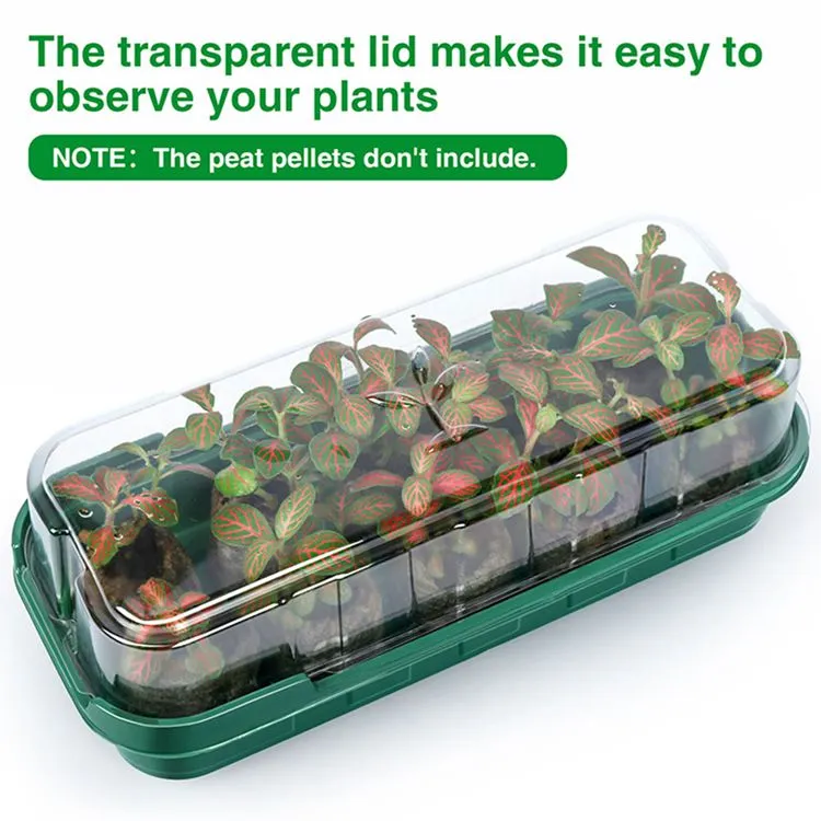 Seed Germination Kit
