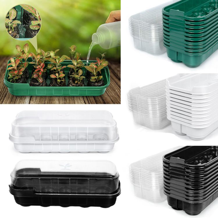 Seed Germination Kit