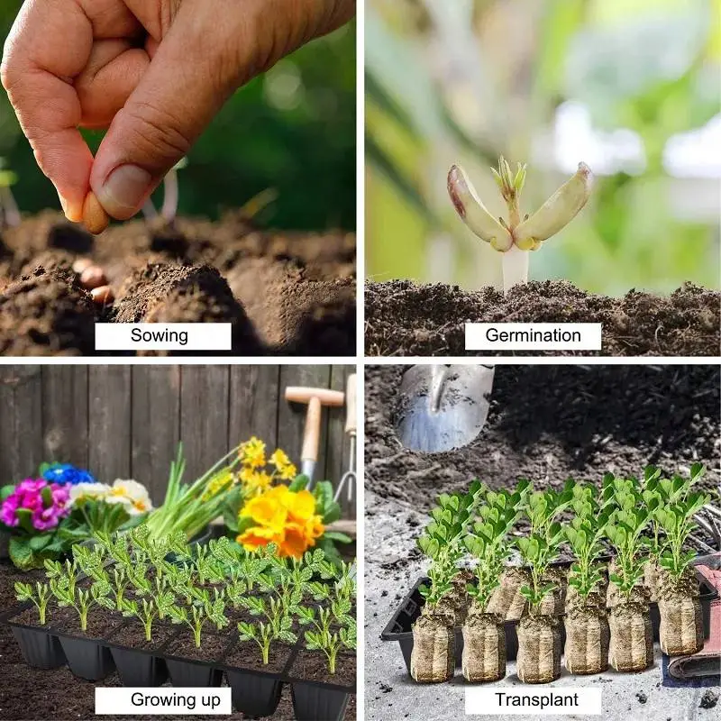 Greenhouse Seed Starter Kit