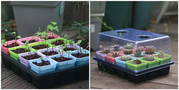 Planting Starter Pot With Trays